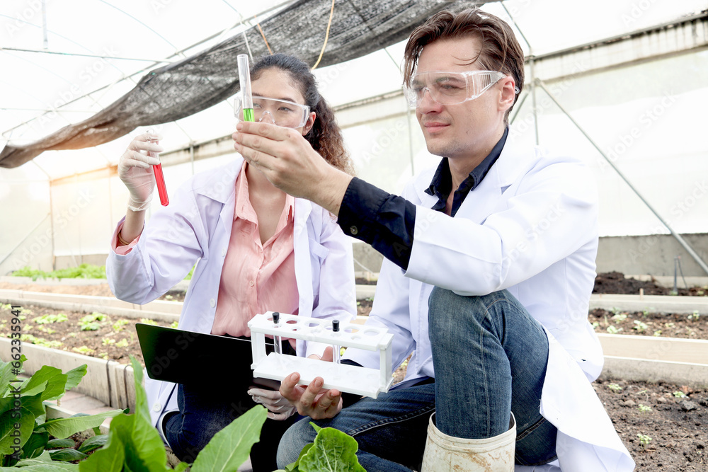 Botanist scientist woman and man in white lab coat work together on ...