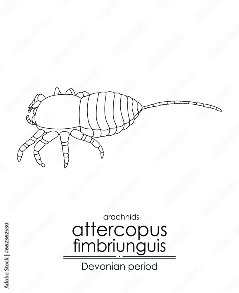 Attercopus fimbriunguis, a Devonian period arachnid, the oldest-known ...