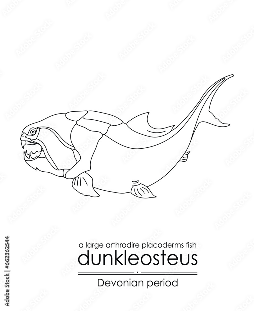 Dunkleosteus, a Devonian period large arthrodire fish, black and white ...