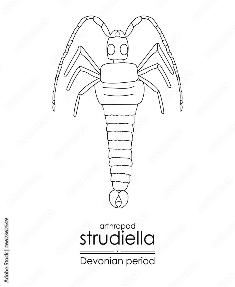 Strudiella, a Devonian period arthropod, but possible an insect, black ...