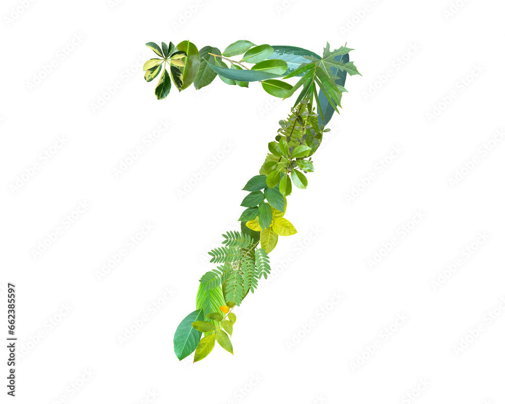 The shape of the number 7 is made of various kinds of leaves isolated ...