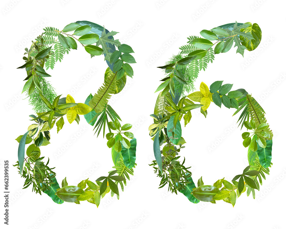 The shape of the number 86 is made of various kinds of leaves isolated ...