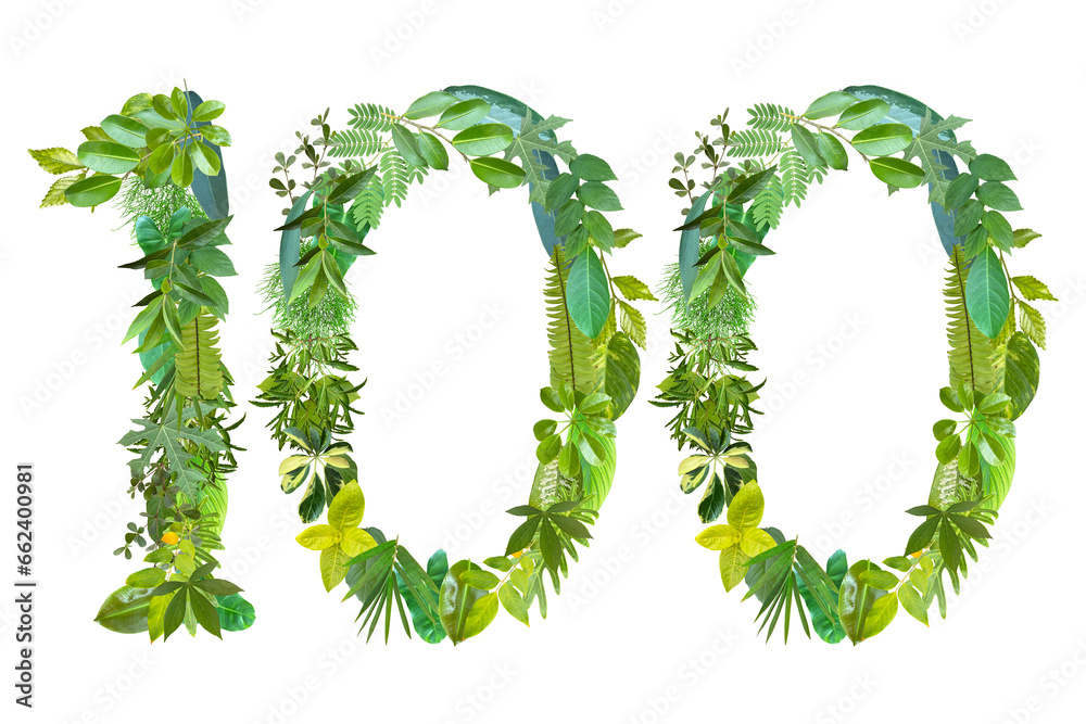 The Shape Of The Number 100 Is Made Of Various Kinds Of Leaves Isolated the-shape-of-the-number-100-is-made-of-various-kinds-of-leaves-isolated