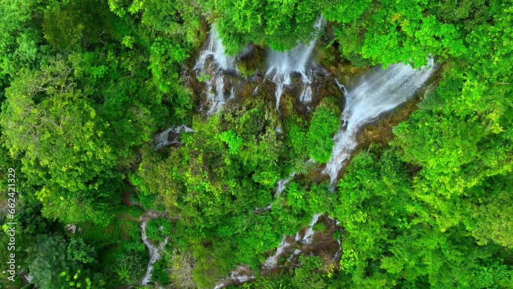 Vidéo Stock Aerial Majesty: Explore a lush tropical rainforest from ...