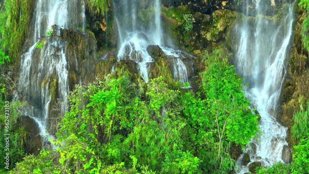 Jungle's Hidden Treasure: Behold a mesmerizing drone perspective of a ...