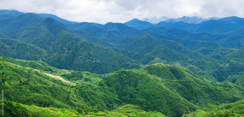 Panorama of high mountain ranges Filled with green trees nature and ...
