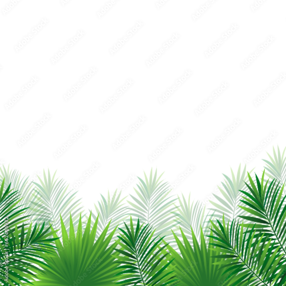 Green amazon border frame with exotic jungle plants, palm leaves ...