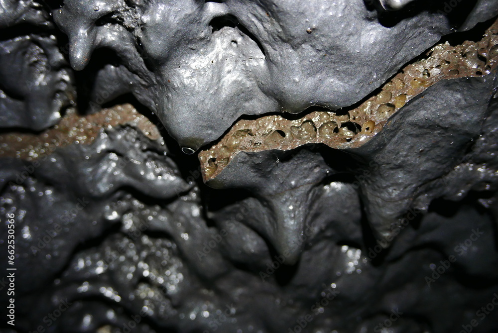 Aokigahara sea of tree Jyukai and hyoketsu ice cave in Mt Fuji and Mt ...