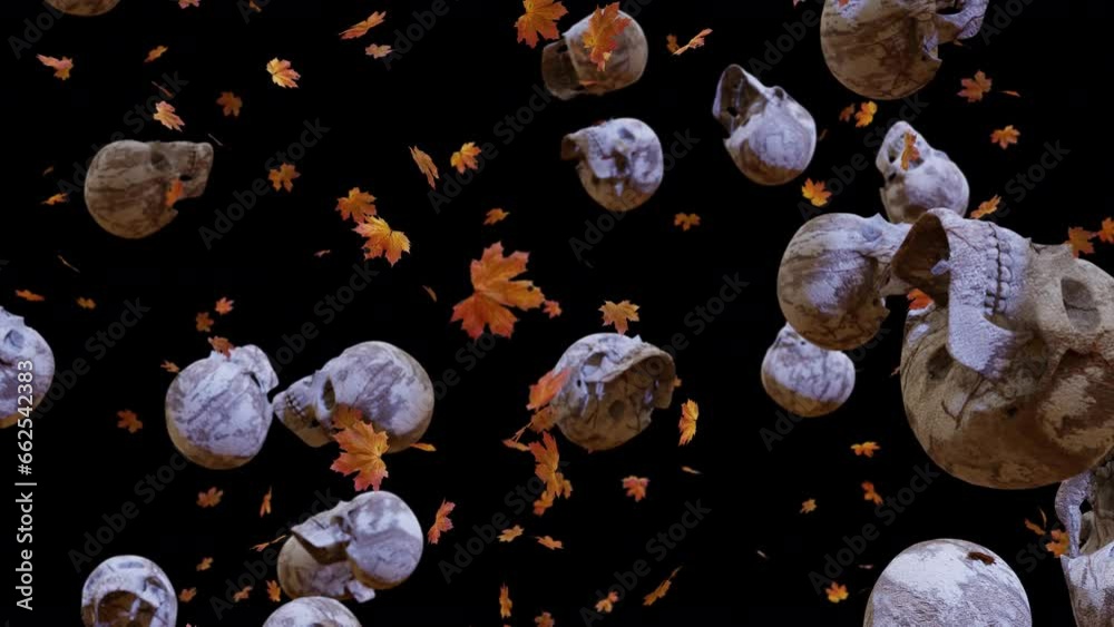 Skull And Maple Leaf Falling Skull And Maple Leaf Falling is motion ...