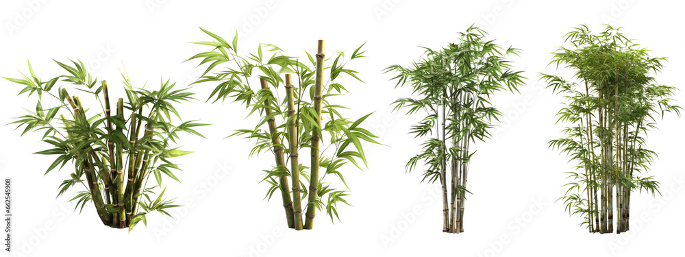 clump bamboo trees, rootless isolated on transparent background Stock ...