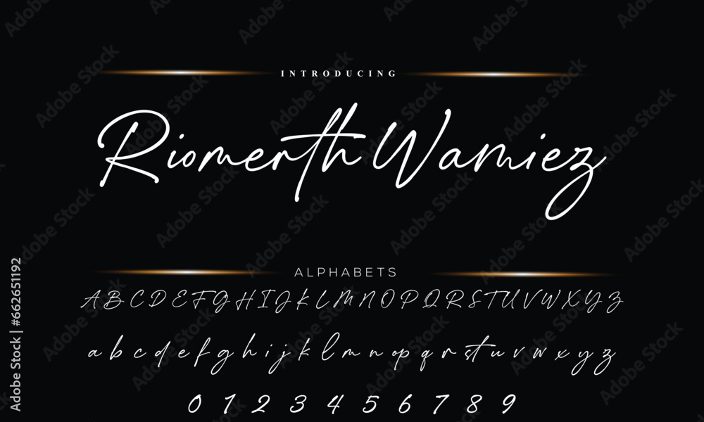 Hand drawn vector alphabet. Script font. Isolated letters written with ...