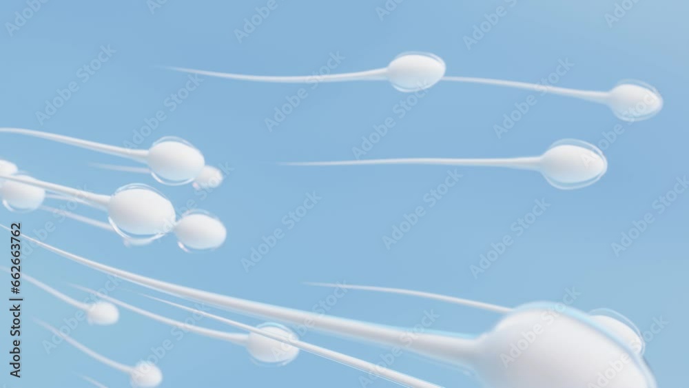 Vidéo Stock Human sperm cells, 3d rendering. 4K looped animation.Human ...