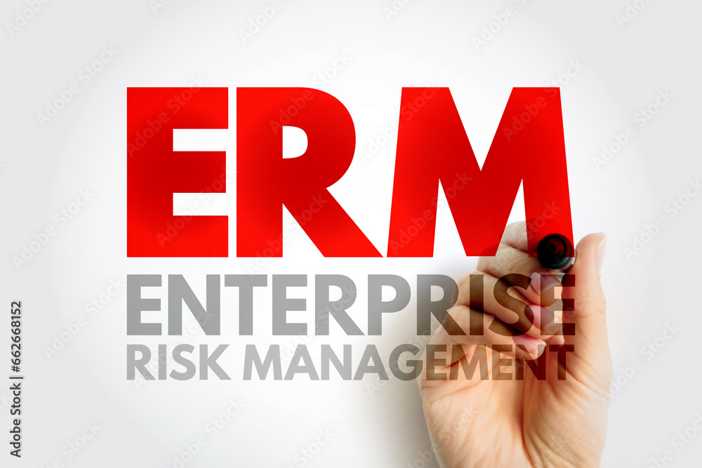 ERM Enterprise Risk Management - methods and processes used by ...