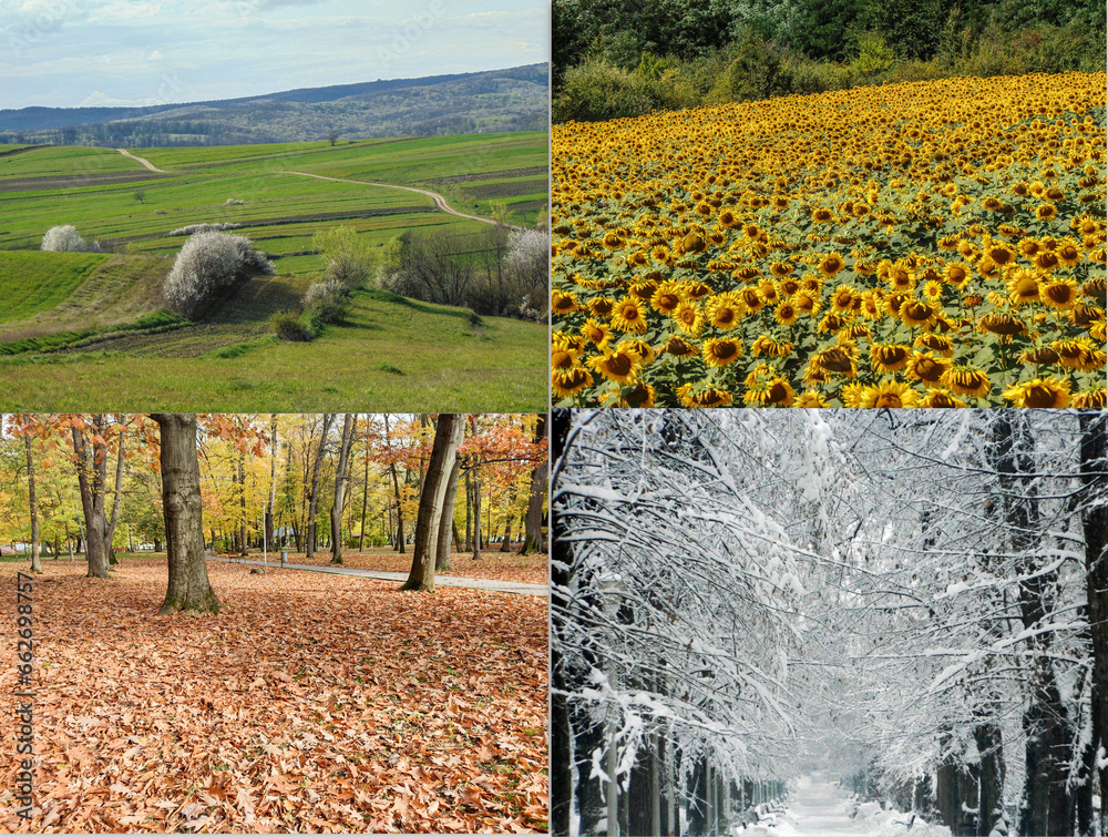 The four seasons in one image. Collage with spring, summer, autumn ...