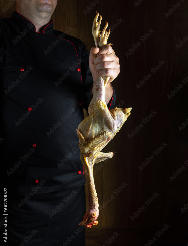 A raw young rooster in the hands of a chef for presentation in a ...