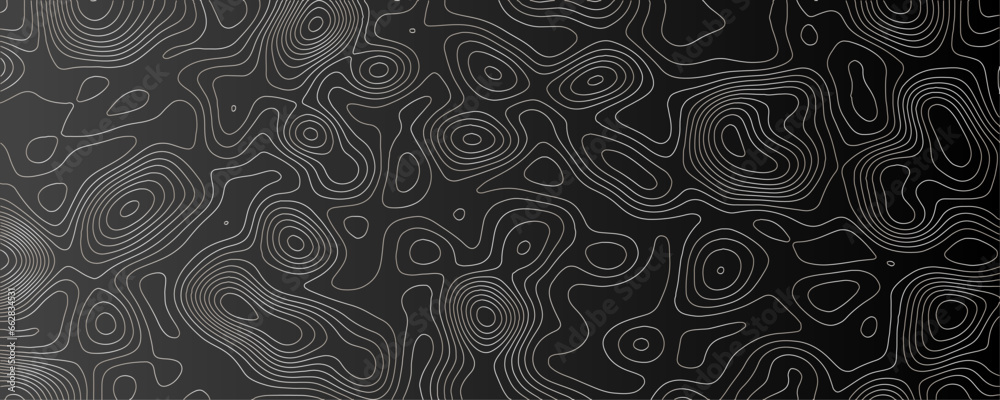 Contour elevation topographic and textured Background Modern gradient ...