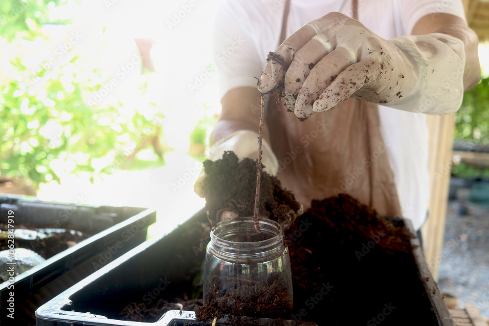 Earthworms on gardener hand, earthworm in dirt for organic fertilizer ...
