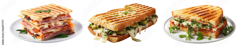 Set of Delicious Fresh Italian Panini Sandwiches Isolated on a ...