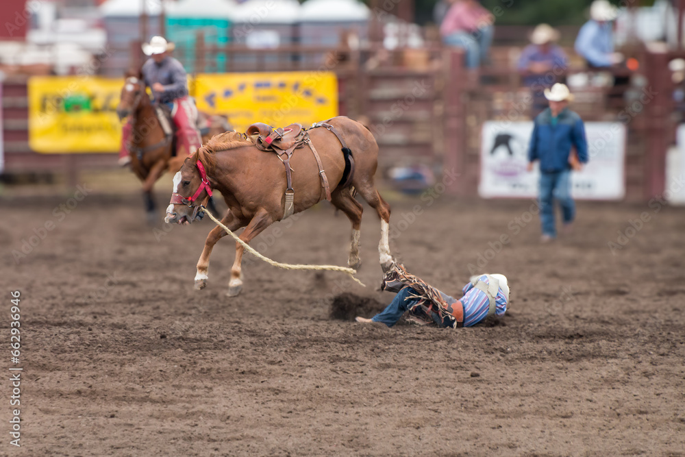 A cowboy has been bucked off a bucking bronco at a rodeo. The horse has ...