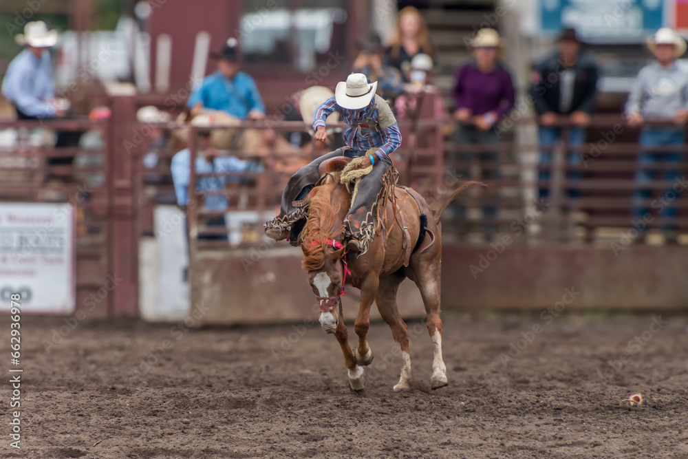 A cowboy is riding a bucking bronco at a rodeo. An out of coral with a ...