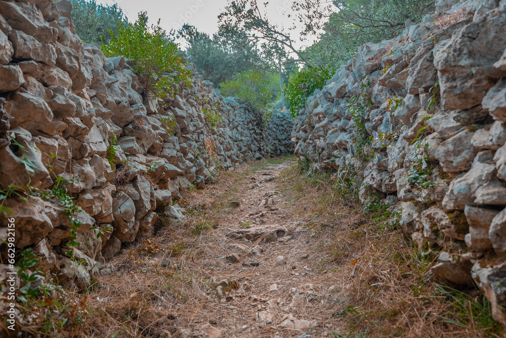 Typical stone walls for paths or pastures on the island of Losinj ...