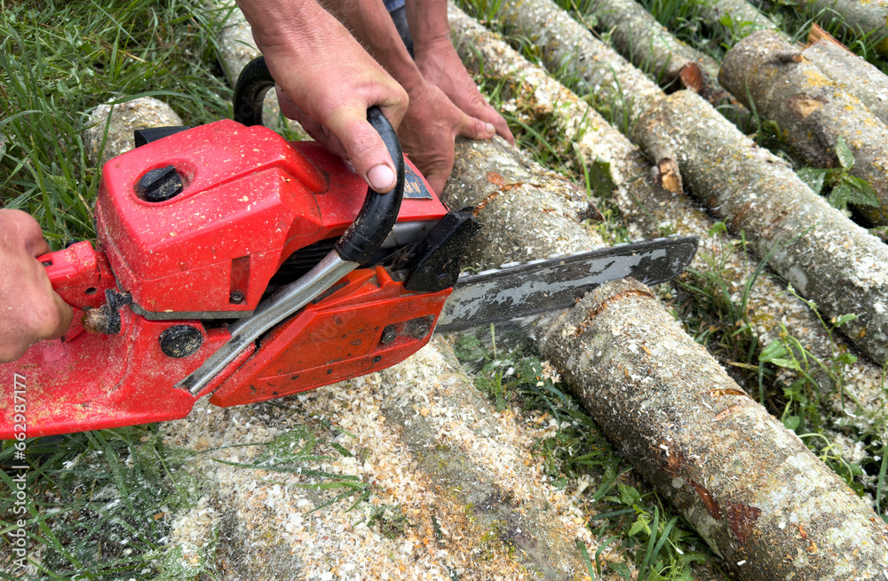 Woodcutter with Chainsaw on forest work. Preparing firewood for winter ...