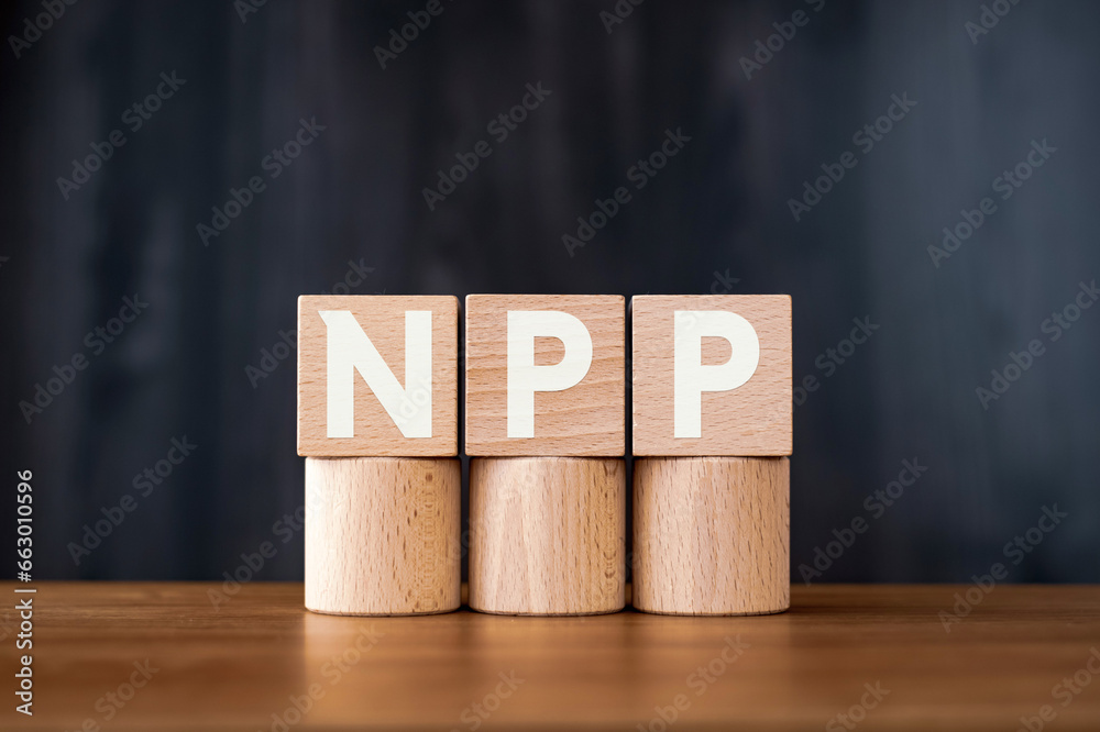 There is wood cube with the word NPP. It is an abbreviation for Net ...