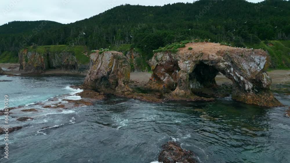 Top view of coast with rock erosion and flying birds. Clip. Cinematic ...