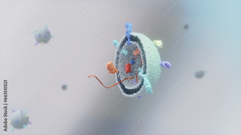 3D illustration of the small extracellular vesicles (exosomes, MVs ... 3D illustration of the small extracellular vesicles (exosomes, MVs ...