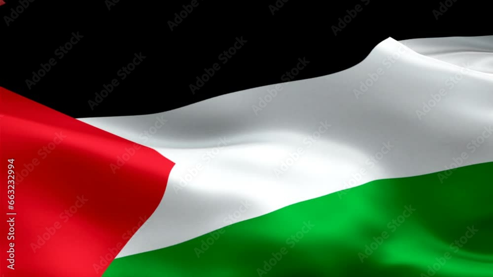 Palestine flag. Sign of Palestinian seamless loop animation. Palestine ...