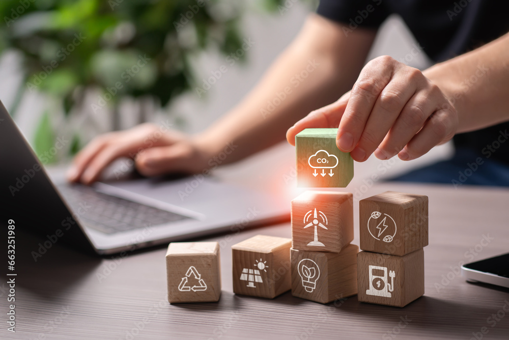 Green business transformation and the desire to find a balance between ...