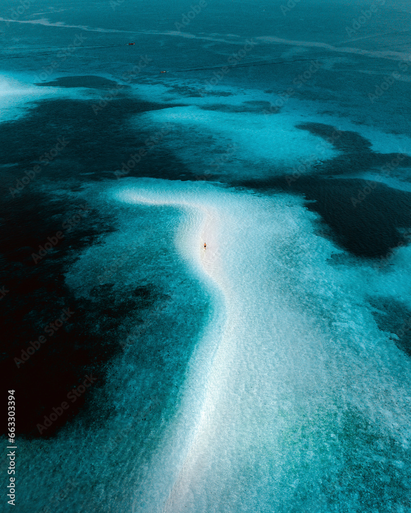 Aerial view of a person walking on the sandbar at Balabac, James ...