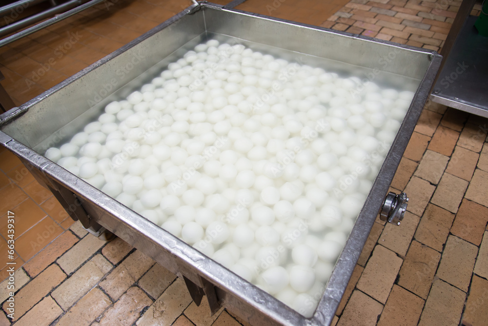 Production Of Mozzarella At The Factory Balls Of Cheese Float In A
