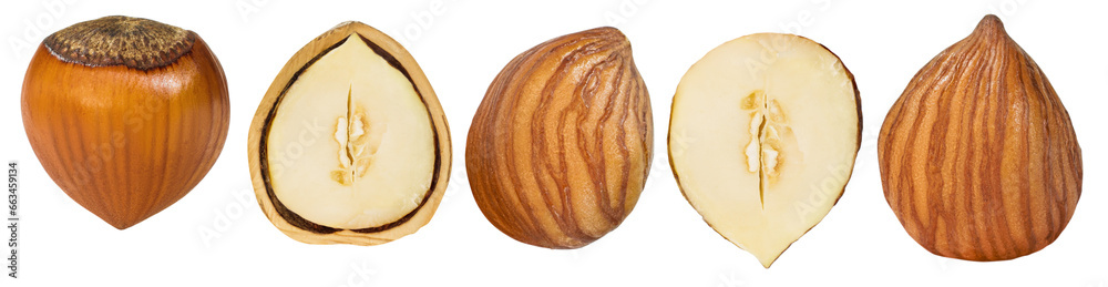 Kit. Hazelnut shell. Whole hazelnut. Core and grain. Depth of field ...