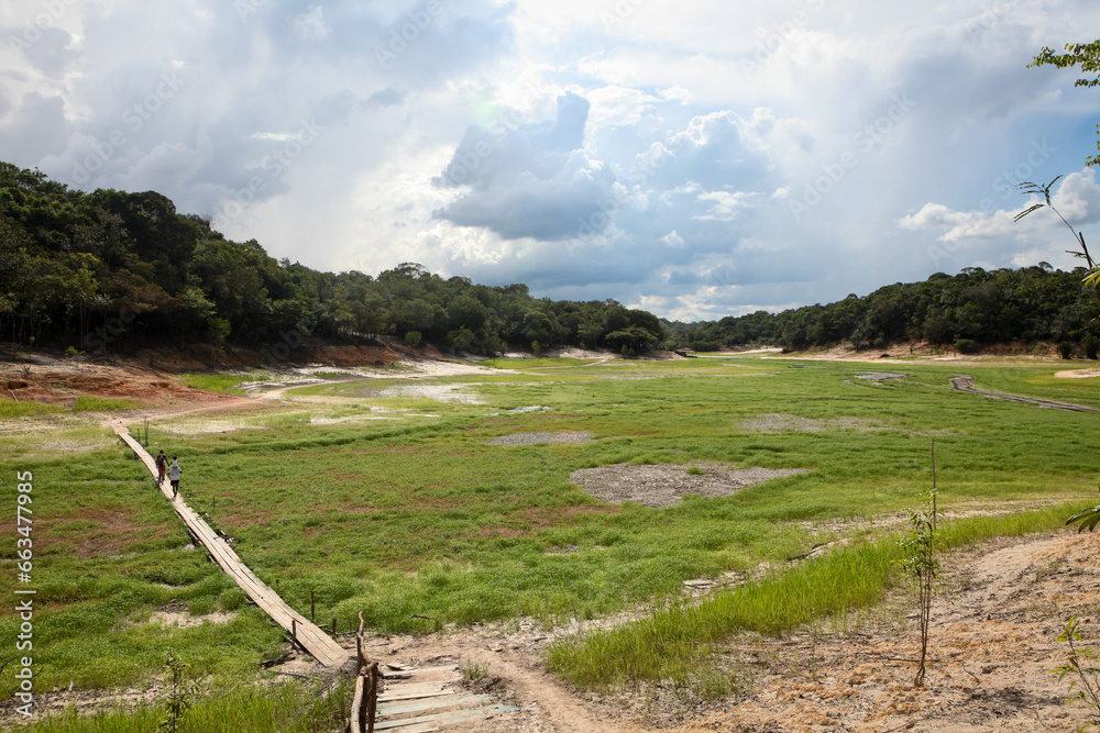 Dry river in extreme drought in the Amazon Rainforest. Wooden bridge ...