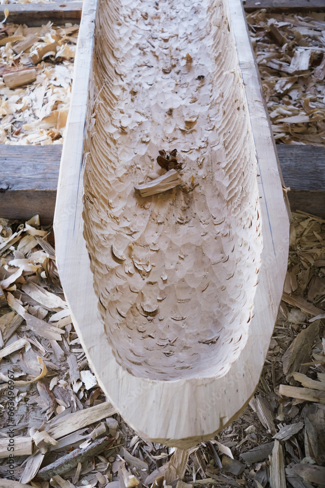 The trunk of a tree, hollowed out with carvings and notches in the ...
