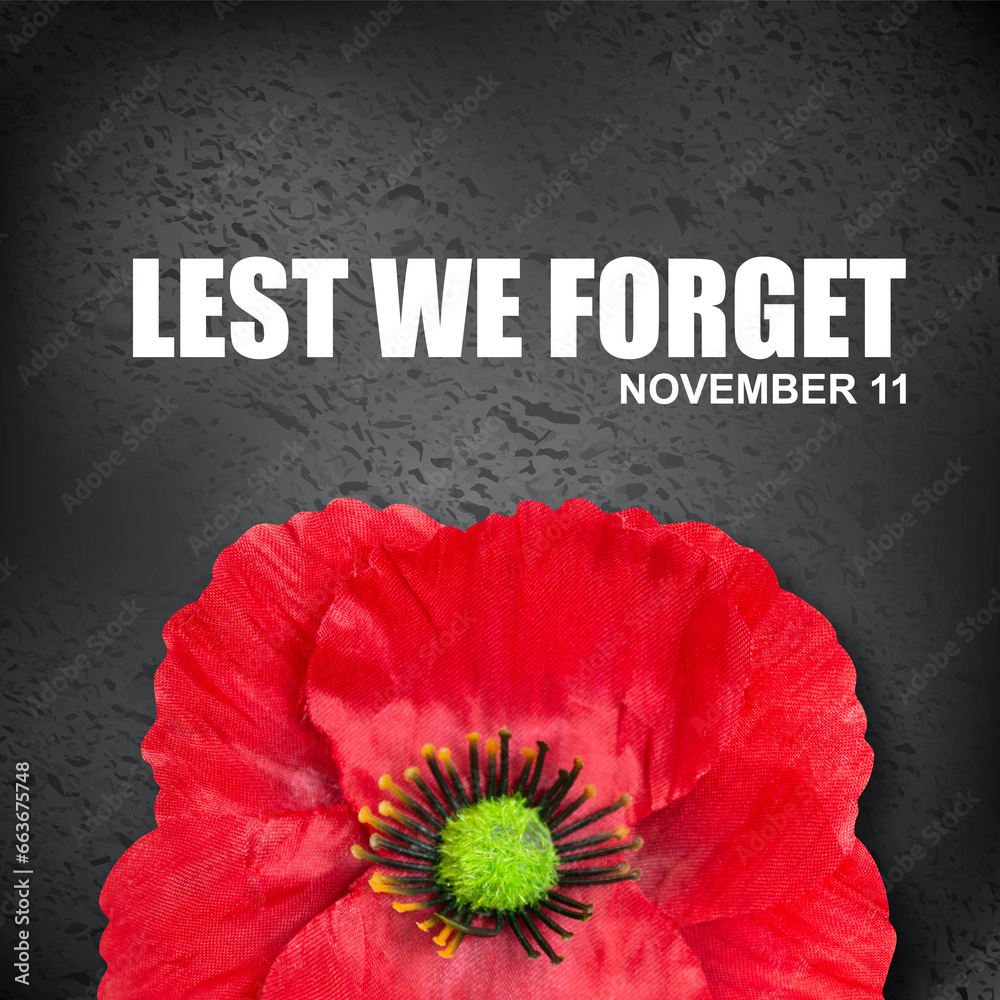 Poster The remembrance poppy – Wall Art | UkPosters