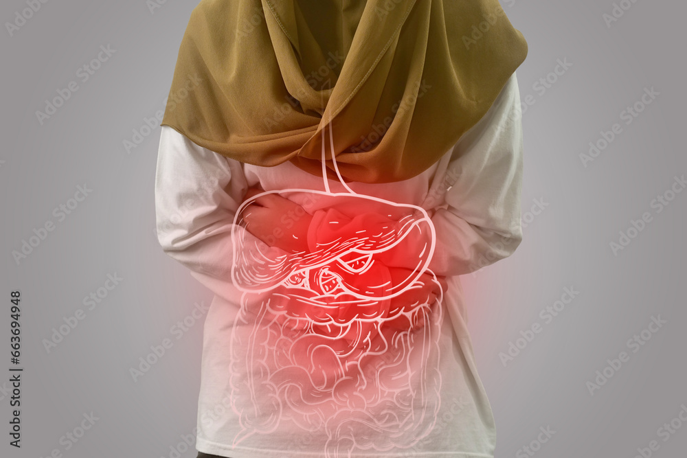 Digital composition of internal digestive system with highlighted red ...