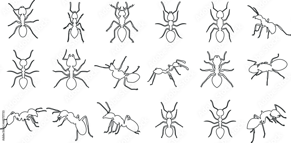 Ant Line Art - This vector illustration features a simple yet stylish ...