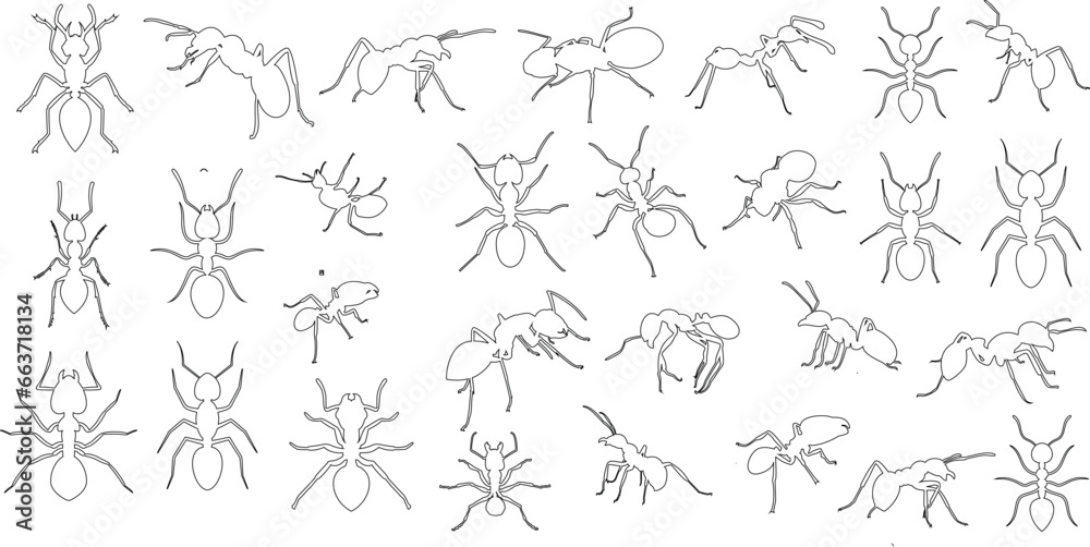 Ant Line Art vector illustration, featuring a variety of ants in ...