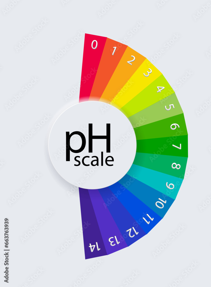 pH scale chart for acid and alkaline solutions. Acid-base balance ...