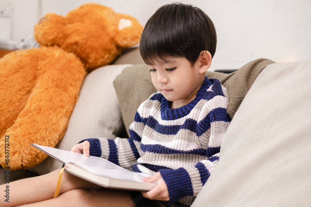 Asian boy reading a book on the sofa Learning outside the classroom ...