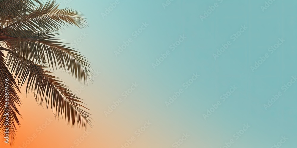Palm tree in the corner. For holiday pictures for ads. Banner vector ...
