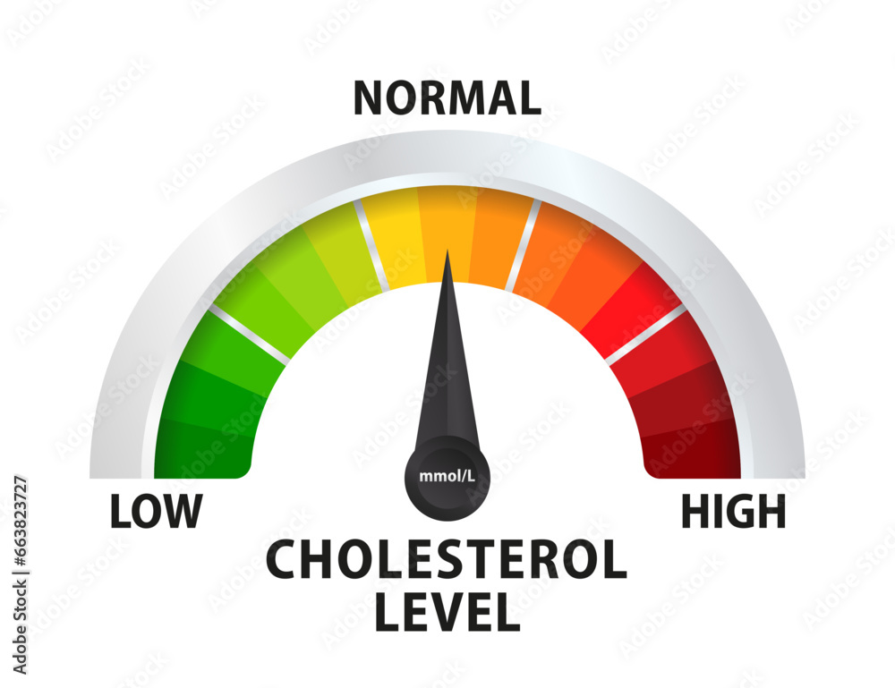 Cholesterol level meter with high and low fat test, vector blood risk ...