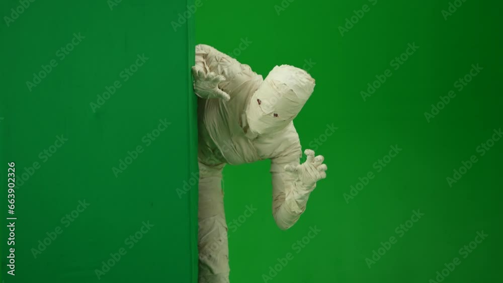 Green screen isolated chroma key video capturing a mummy showing from ...