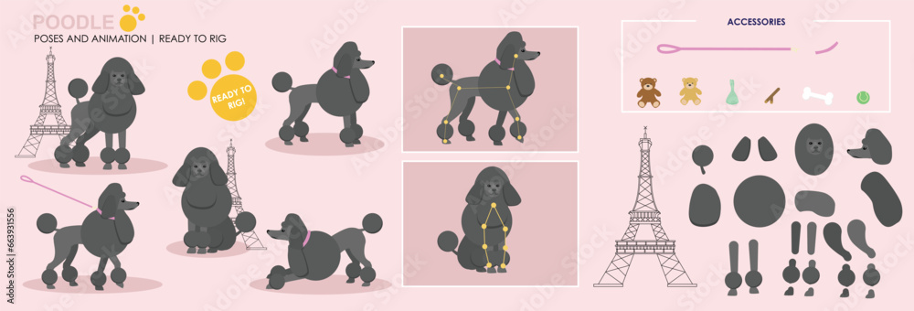 White Poodle Dog character for animation. Created with various poses ...