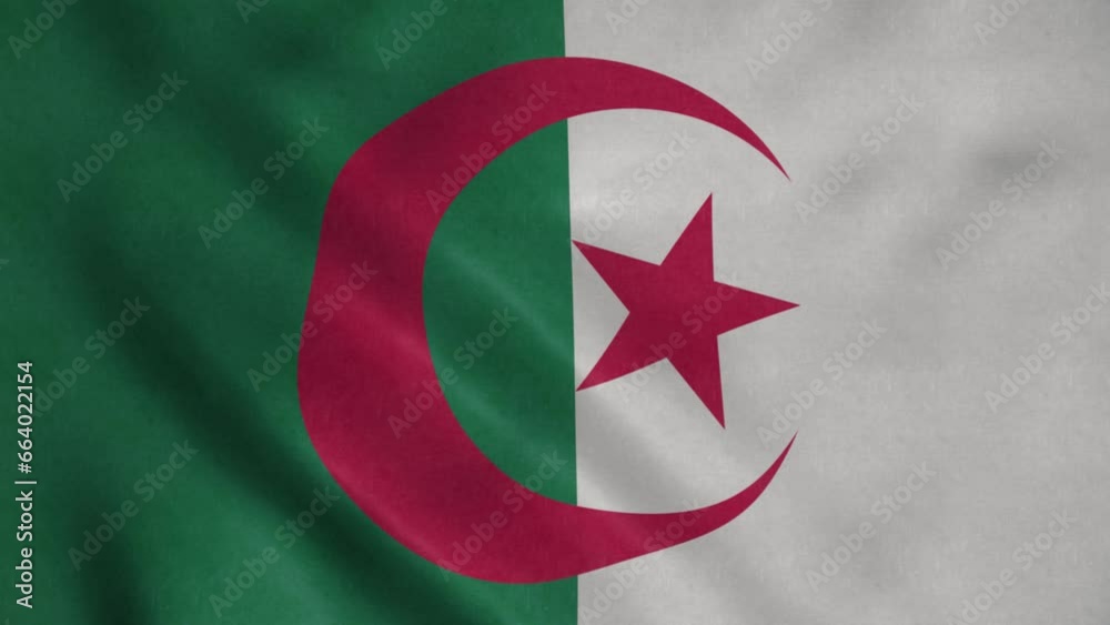 Algeria flag waving in the wind. National flag of Algeria. Sign of ...