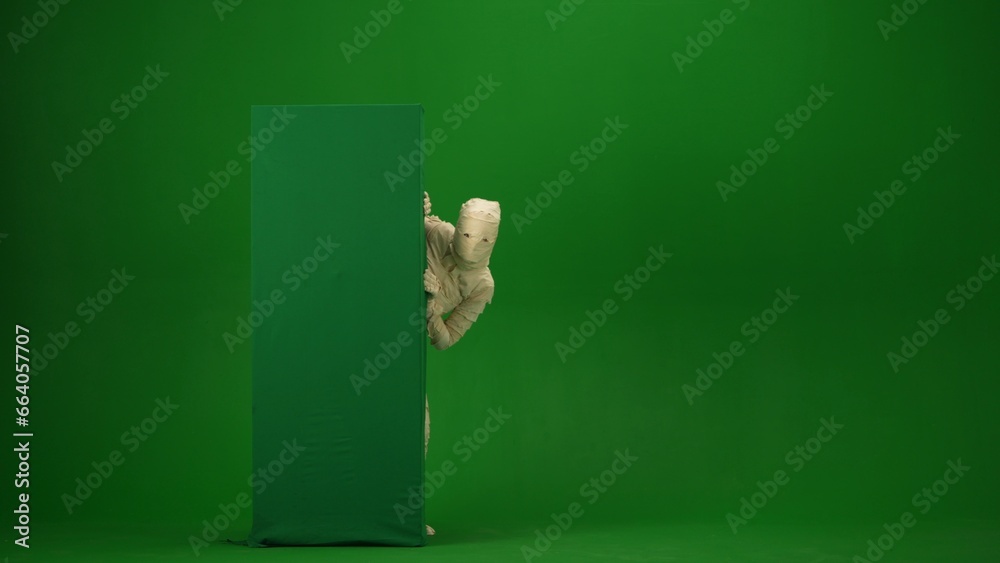 Green screen isolated chroma key photo capturing a mummy peeking from ...