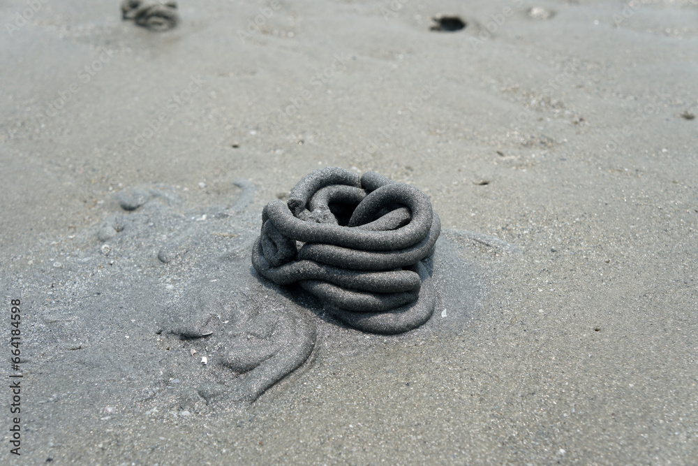 Sandworm poop on the beach. Stock Photo | Adobe Stock