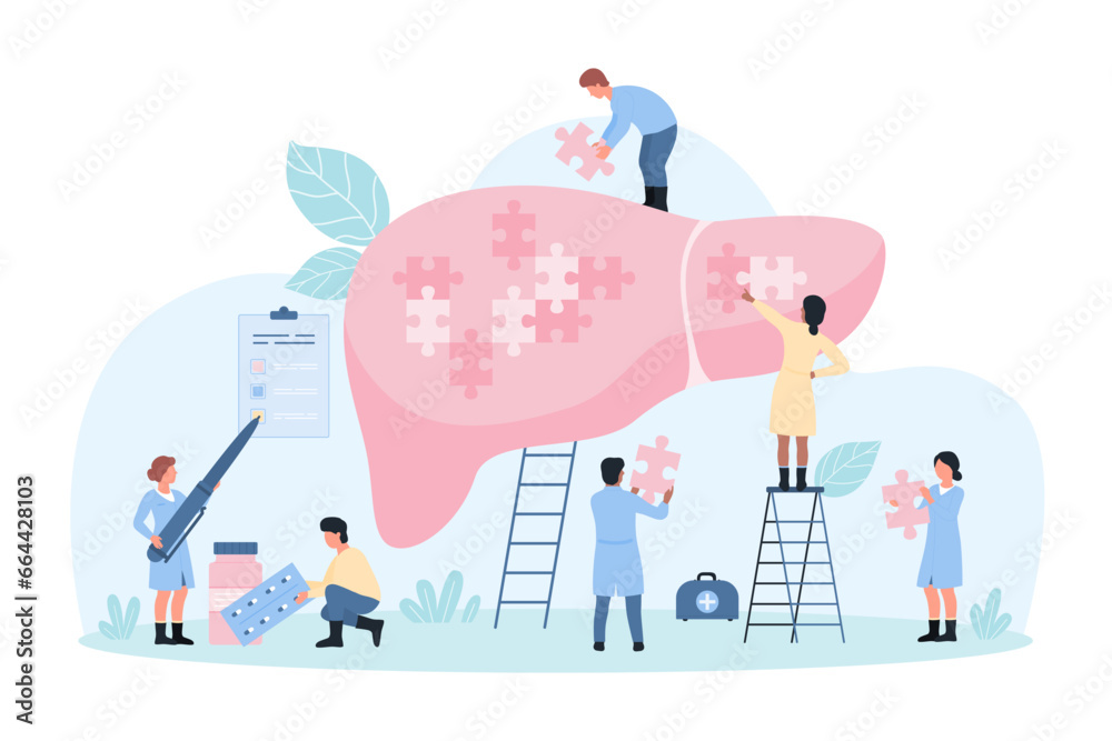 Liver disease diagnosis and treatment, hepatology vector illustration ...